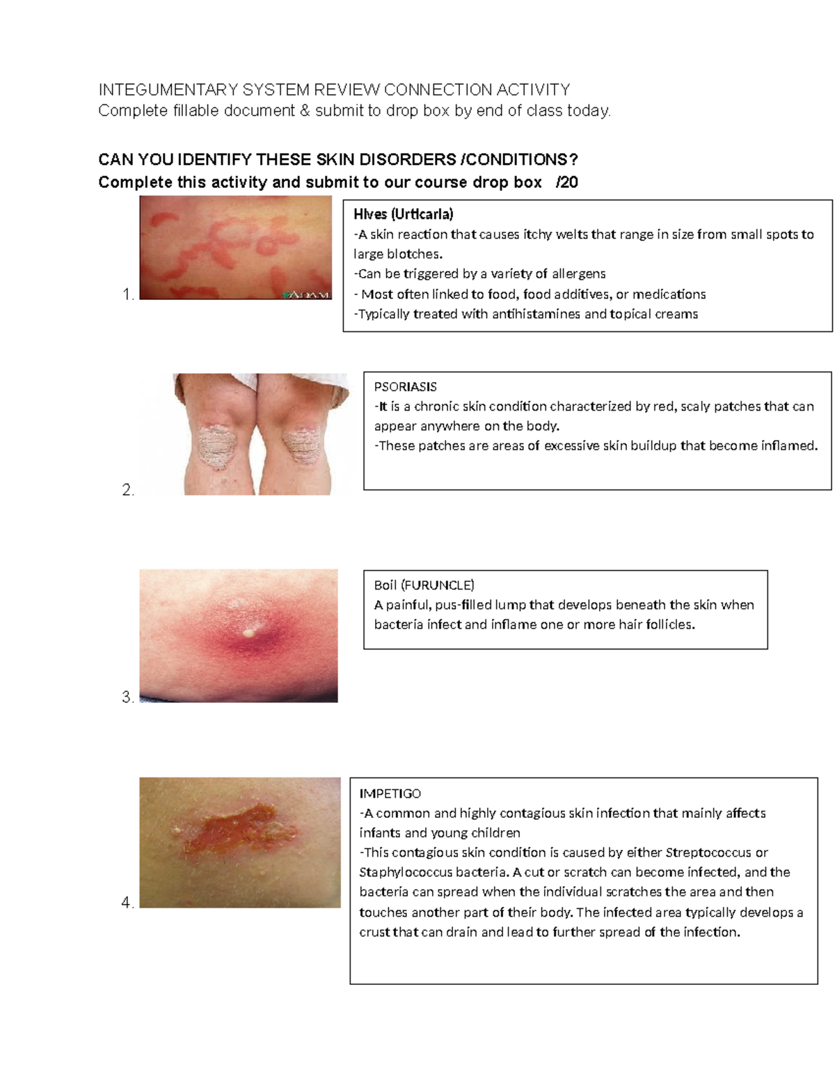 WK 8 CAN YOU Identify These SKIN Disorders - INTEGUMENTARY SYSTEM ...