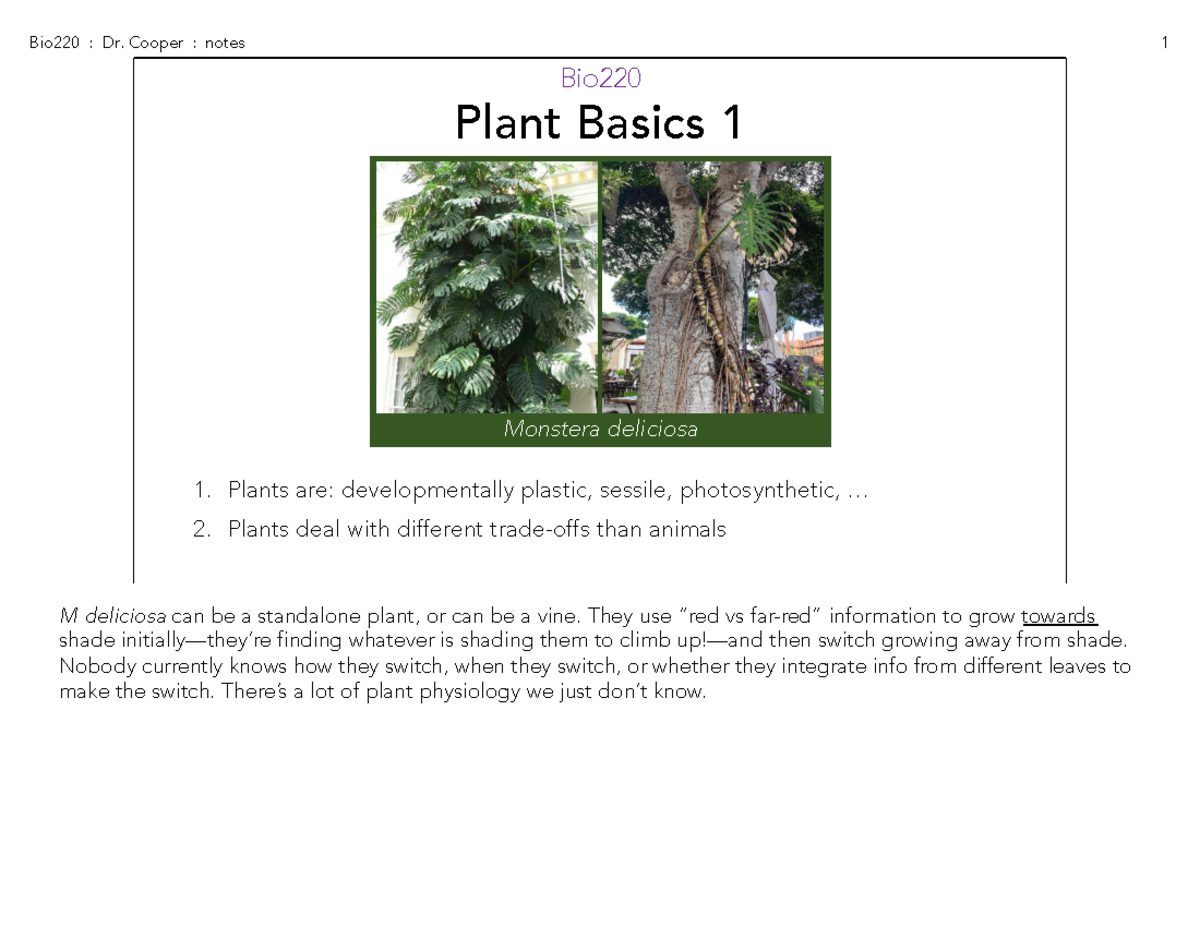 Bio220: Dr. Cooper's Notes on Plant Development & Physiology - Studocu