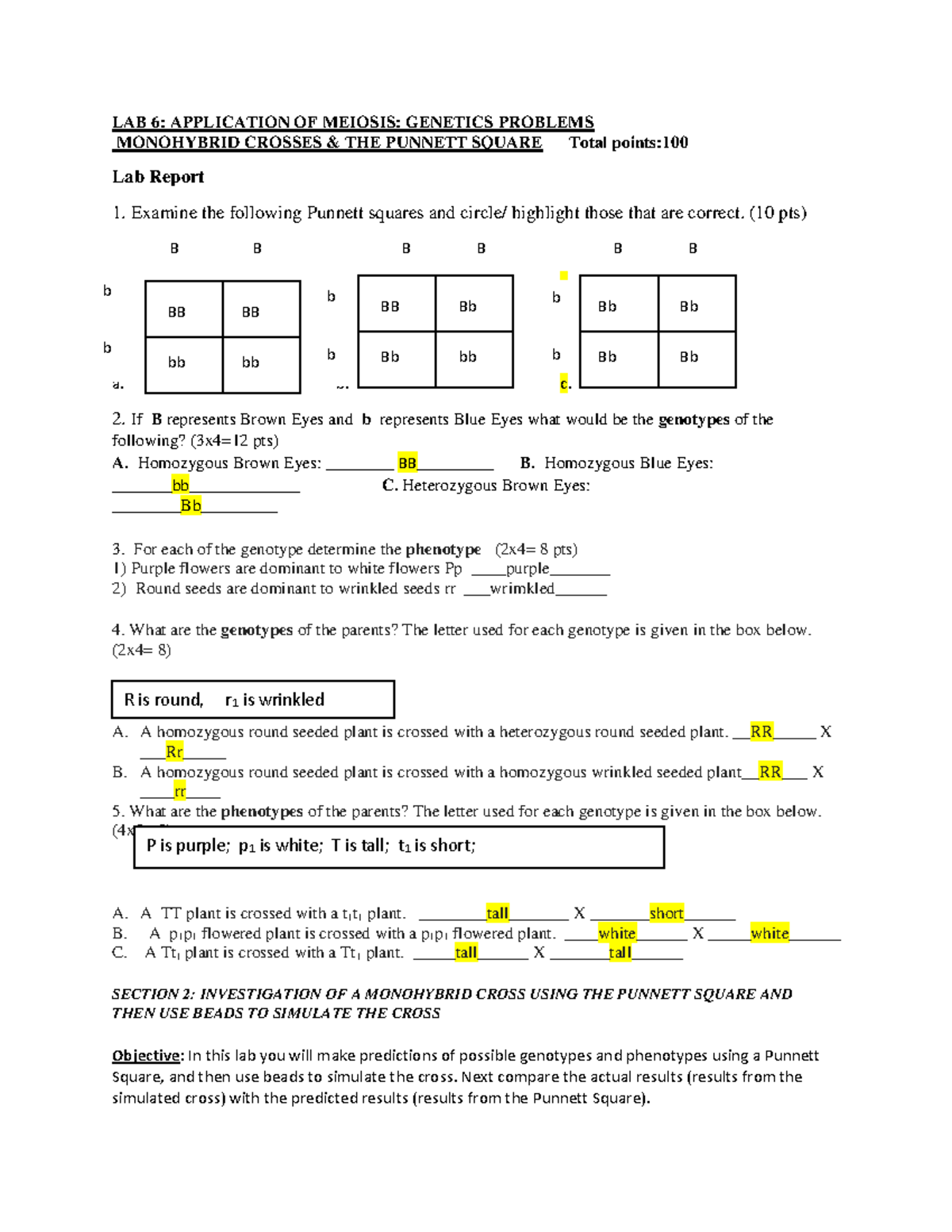 Monohybrid Punnett Square Worksheet Answer Key