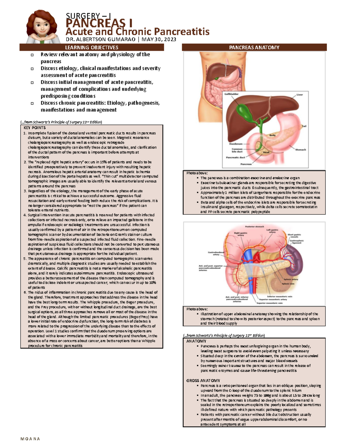 Surgery I: Lecture Notes on Pancreas Anatomy & Pathology Management ...