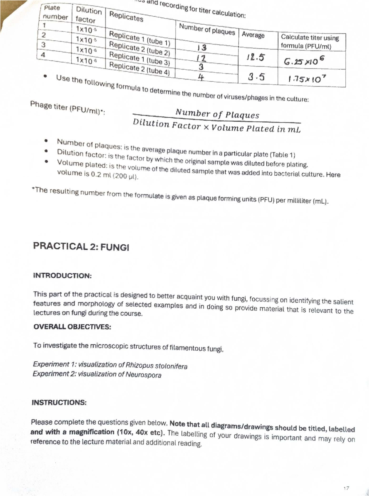 Fungi Practical - Coursework (Biology 101) - Studocu
