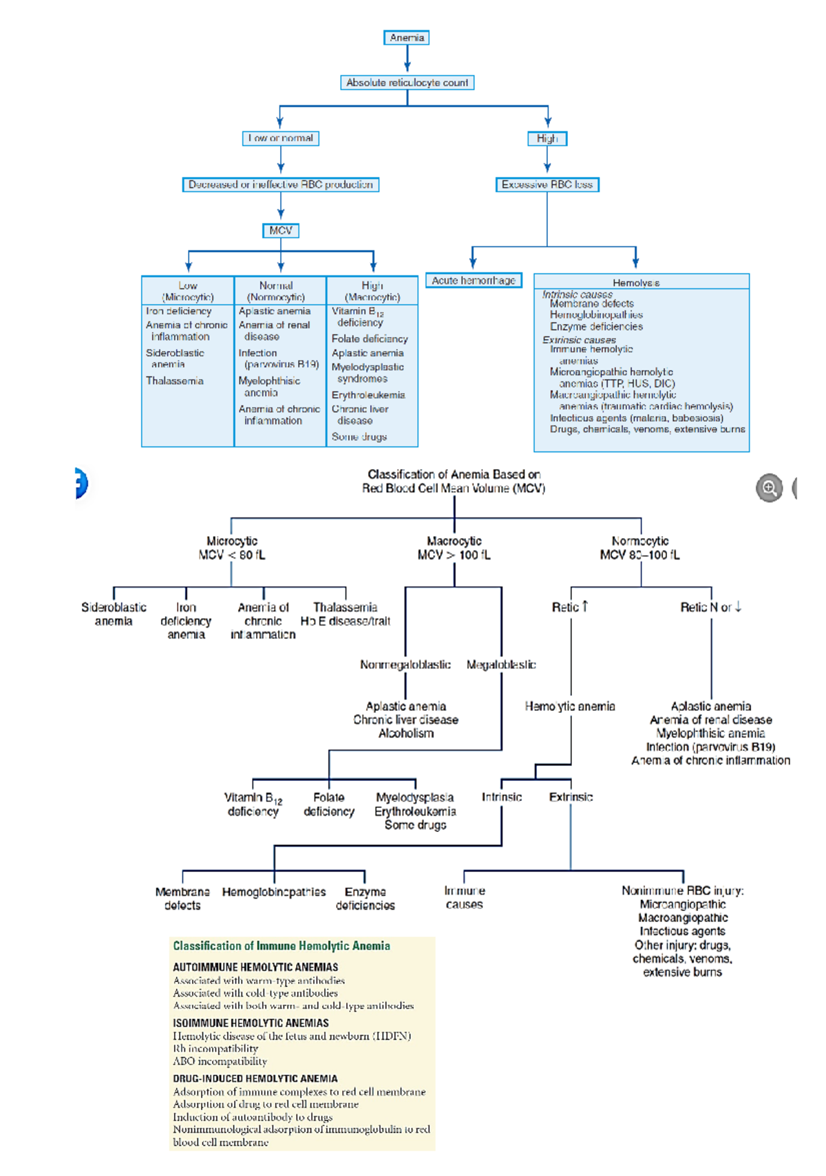 7 - hematolgy - Science - Studocu