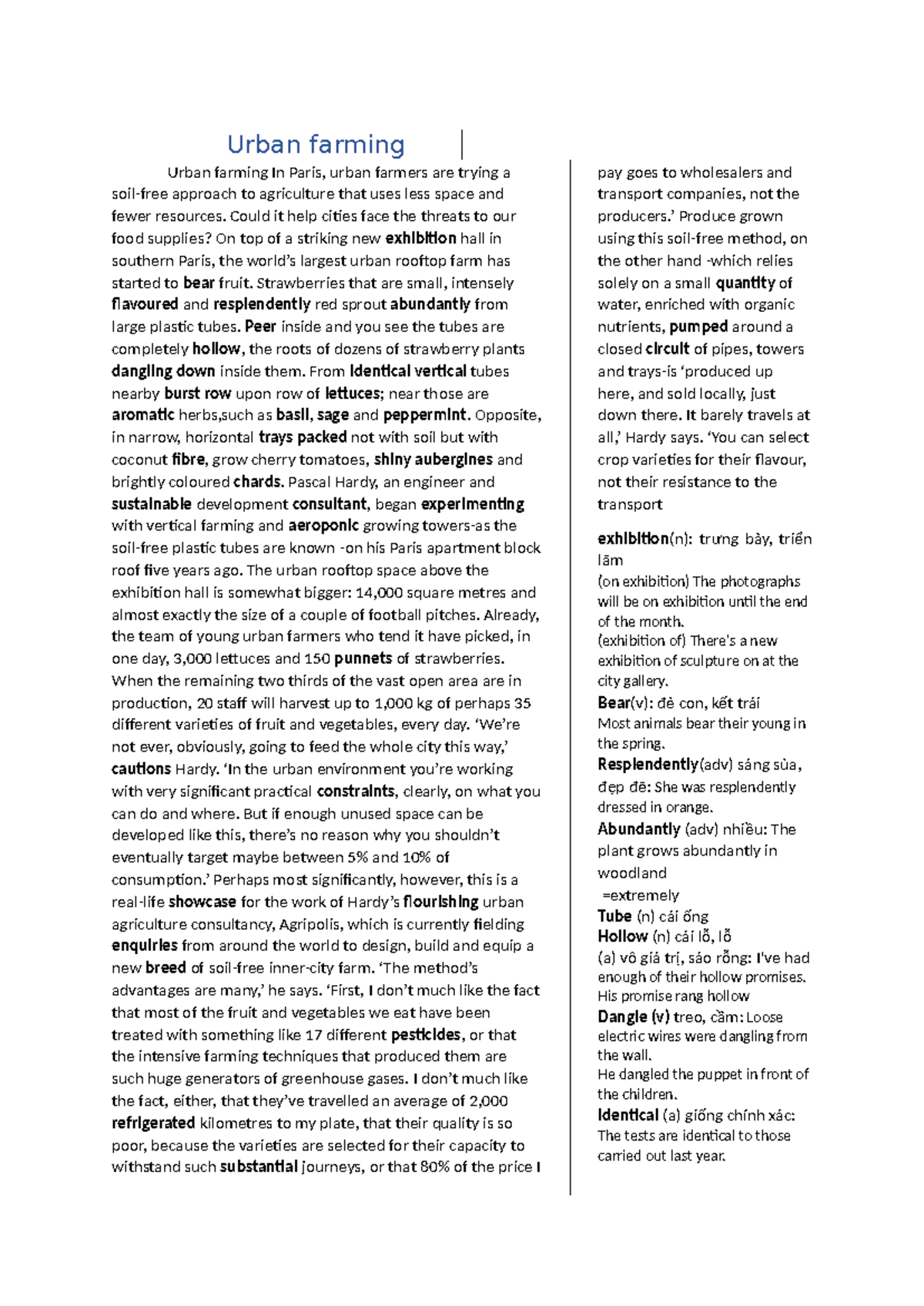 Urban Farming Innovations: A Soil-Free Approach in Paris - IELTS ...