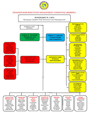 Baranggay Nutrition Action PLAN (BNAP) - BARANGGAY RESOLUTION NO. 53 ...
