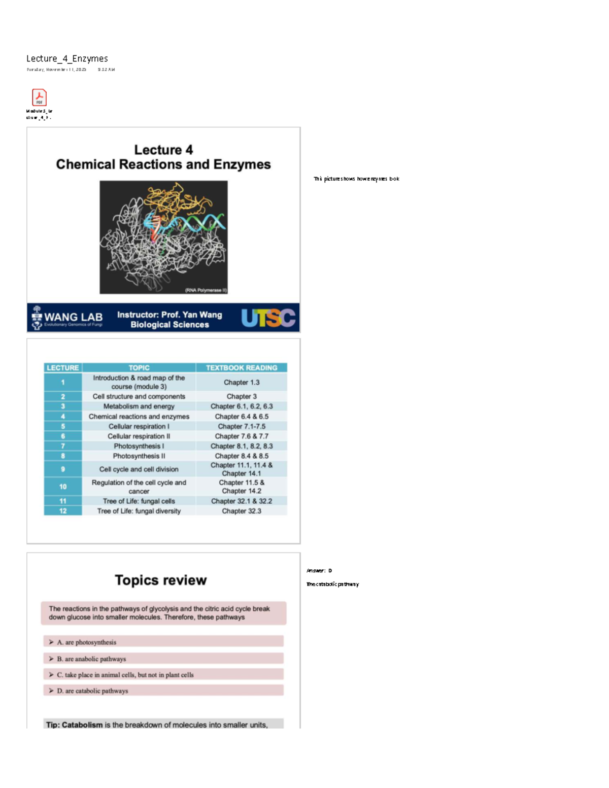Lecture 4: Enzymes and Their Role in Chemical Reactions (Module 3 ...