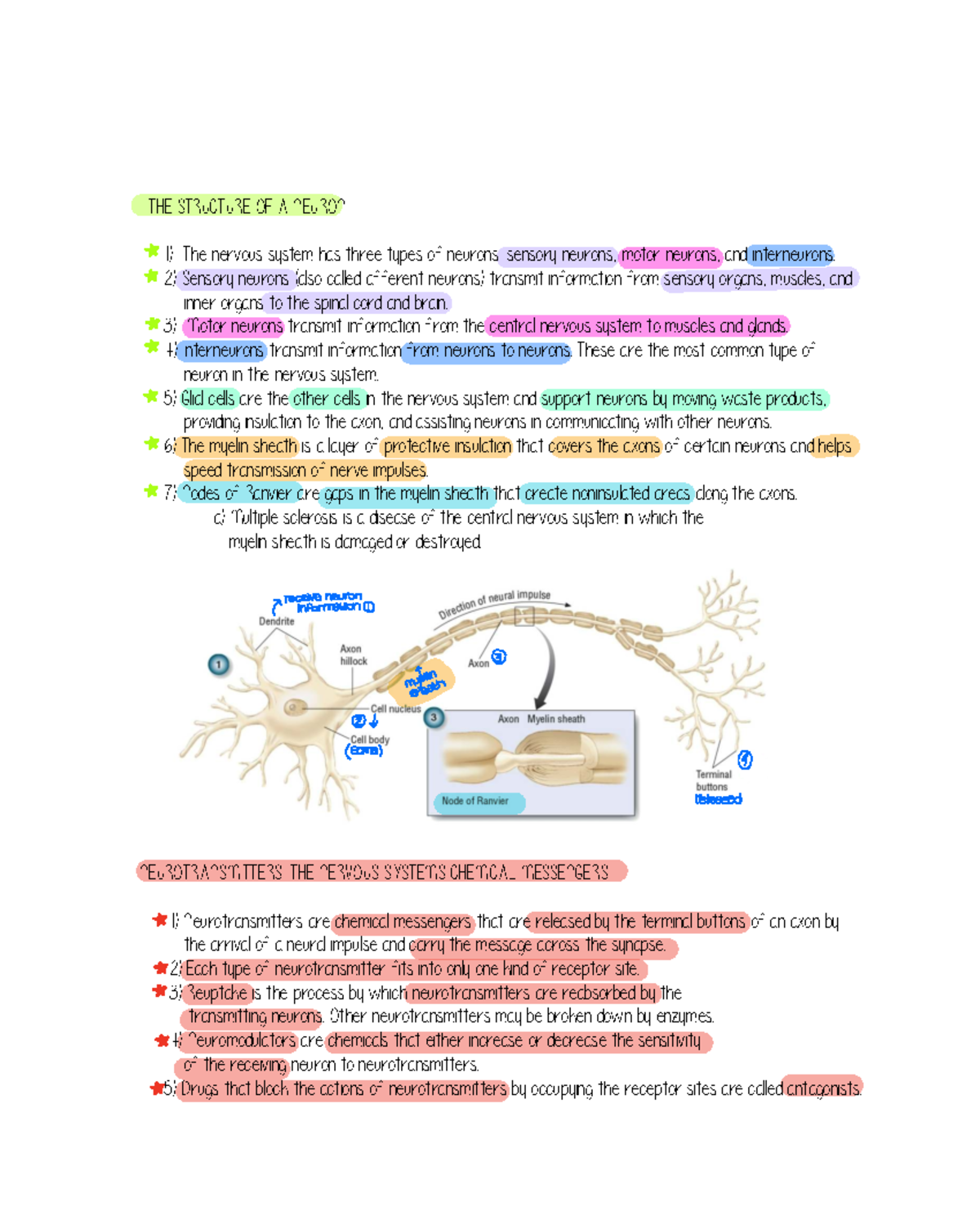 Understanding Neurons and Neurotransmitters in the Nervous System: PSY ...