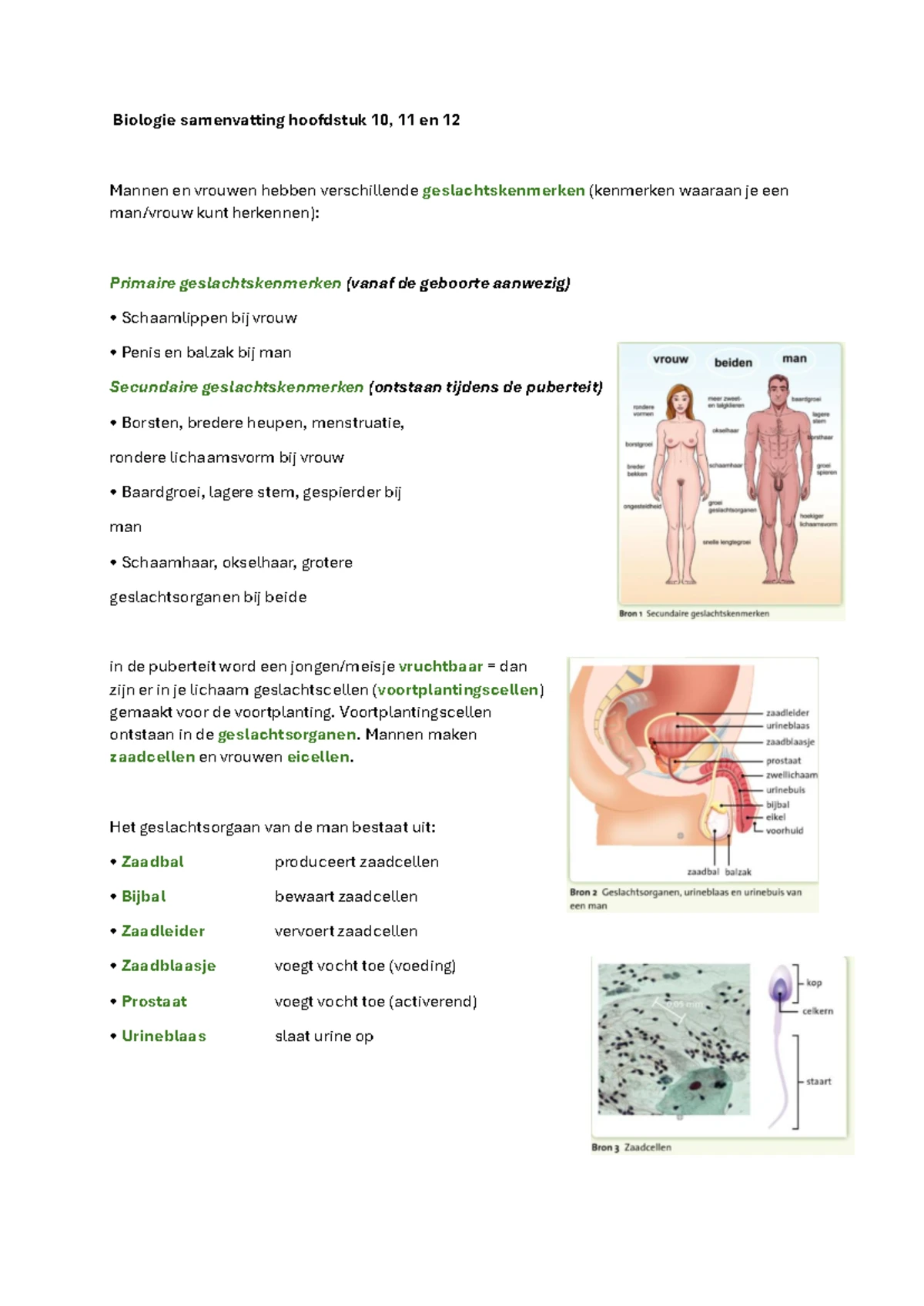 Biologie 1 - Hoofdstuk 4 Samenvatting van Prikkels en Zintuigen - Studeersnel