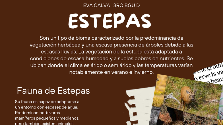 EVA CALVA 3RO BGU D ESTEPAS: Características y Fauna de Biomas - Studocu