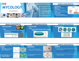 MYCV Summary gen methods - Key characterisƟcs of Fungi: 22 o C - 30 o C ...
