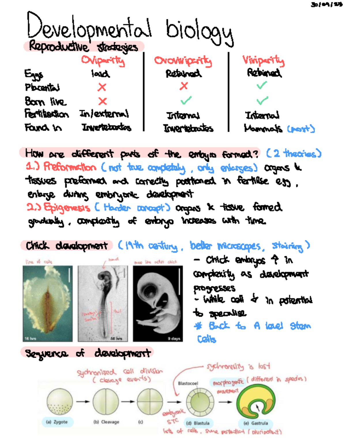 Developmental Biology: Reproductive Strategies and Embryonic ...