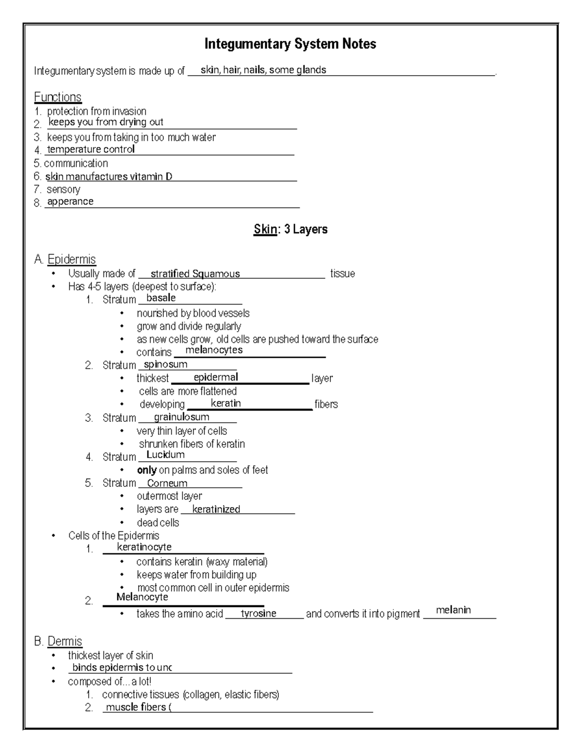 Skin Disorders and Integumentary System Notes - Course Code: [Your Code ...