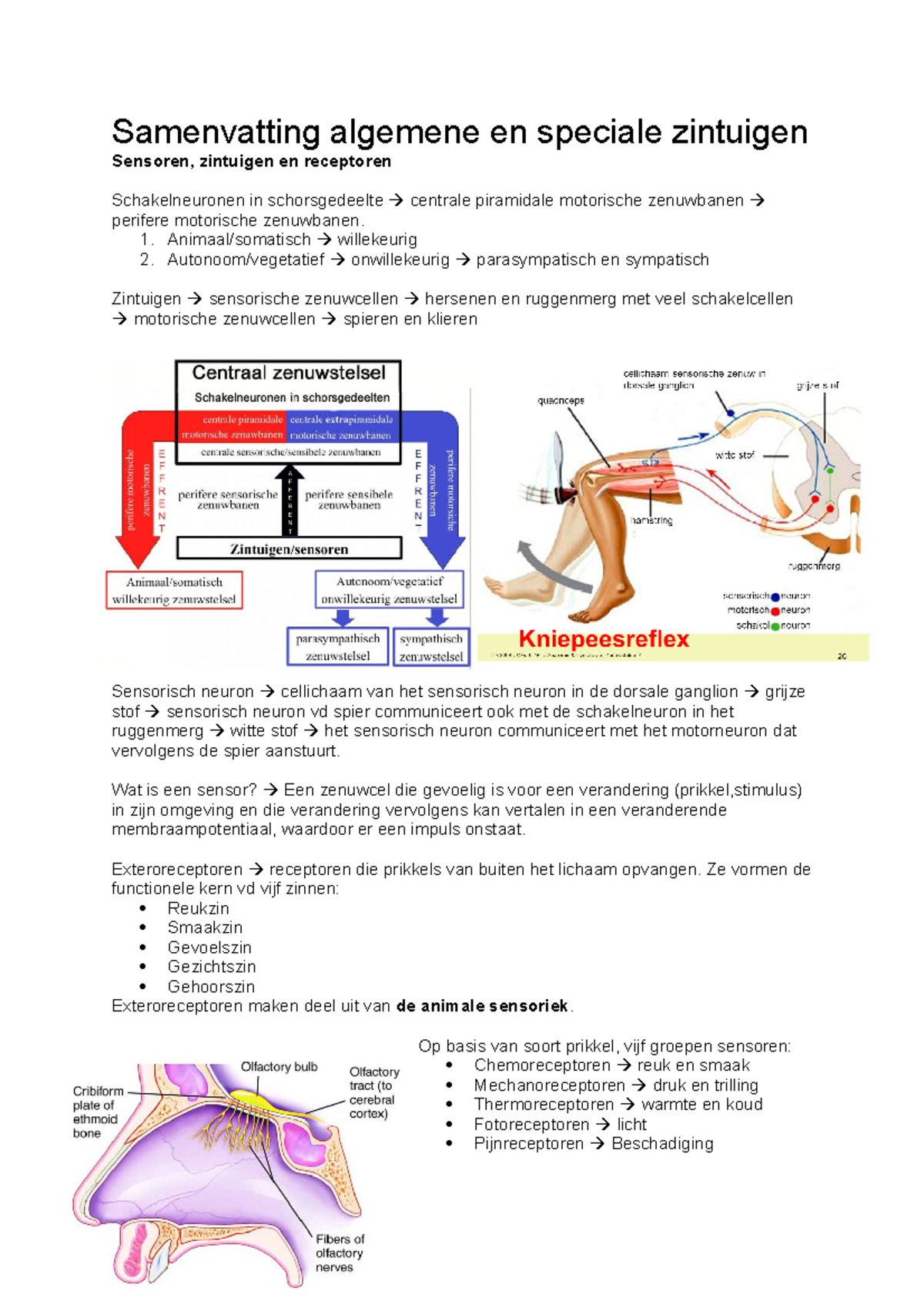 Samenvatting OP3 AFP - Hoofdstukken 12 & 18: Klinische Pathologie en ...