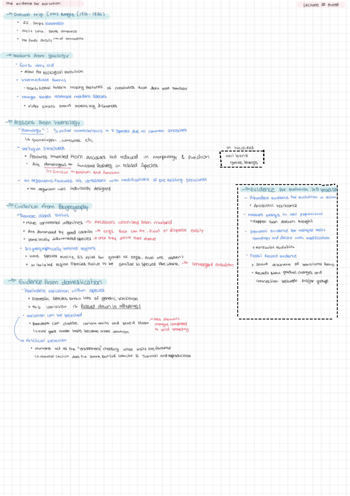 Evolution Evidence: Lecture 3 - Darwin's Beagle & Transitional Fossils ...