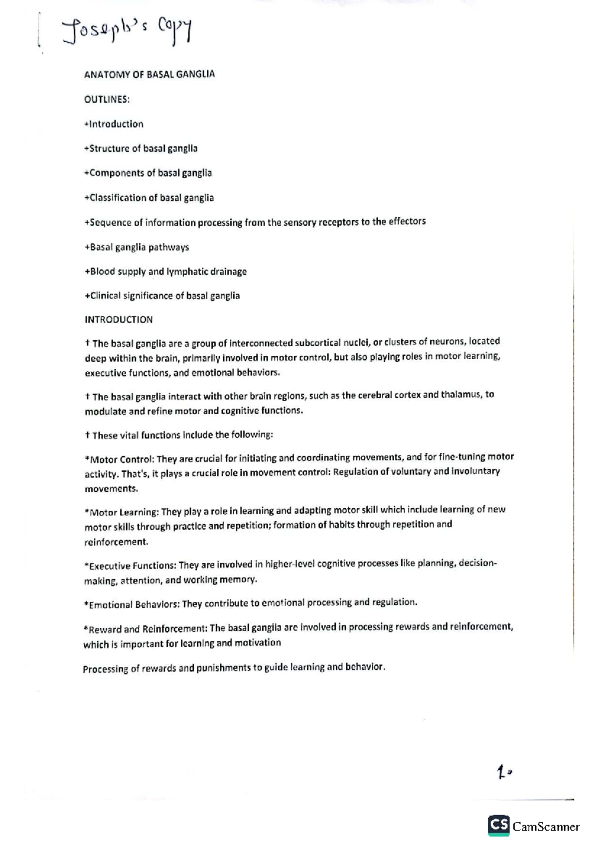 ANATOMY OF BASAL GANGLIA: FUNCTIONS, STRUCTURES, AND PATHWAYS - Studocu