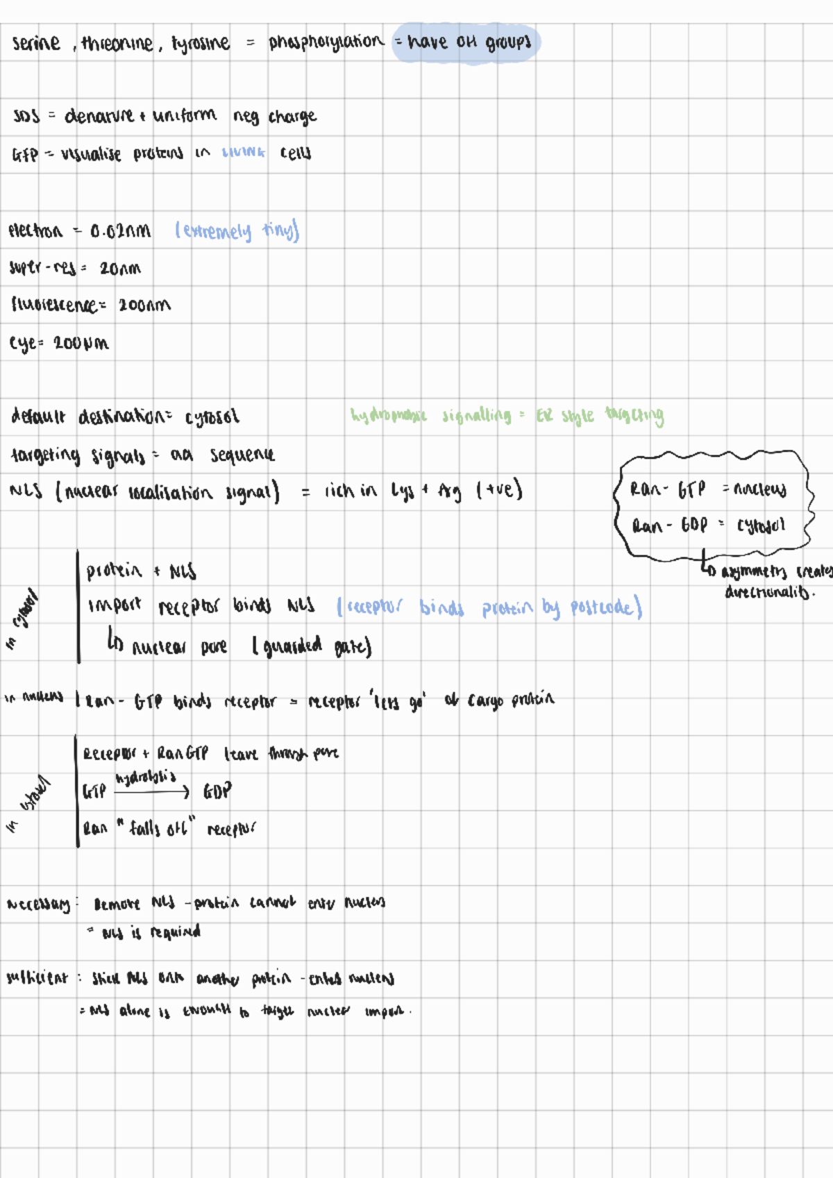 BIOL10232 Molecules to Cells: Comprehensive Revision Notes - Studocu