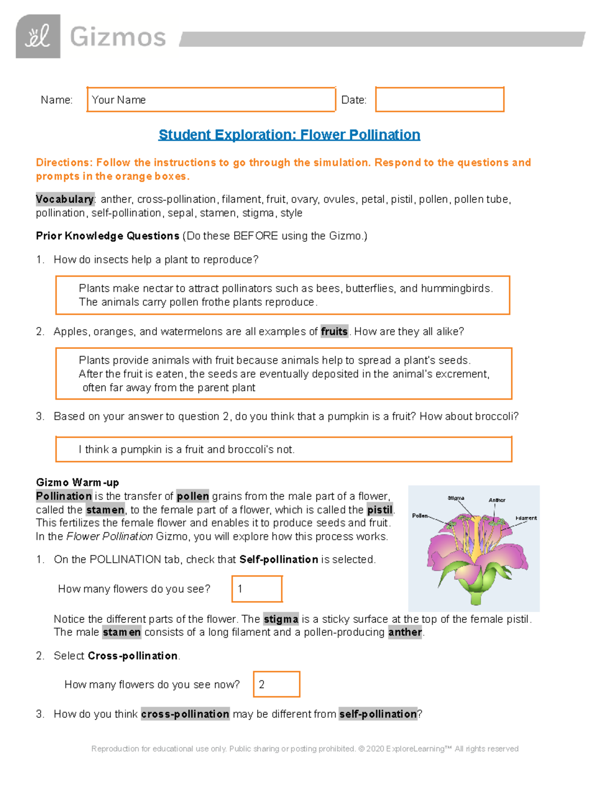 Exploring Flower Pollination: SE Module Insights and Activities - Studocu