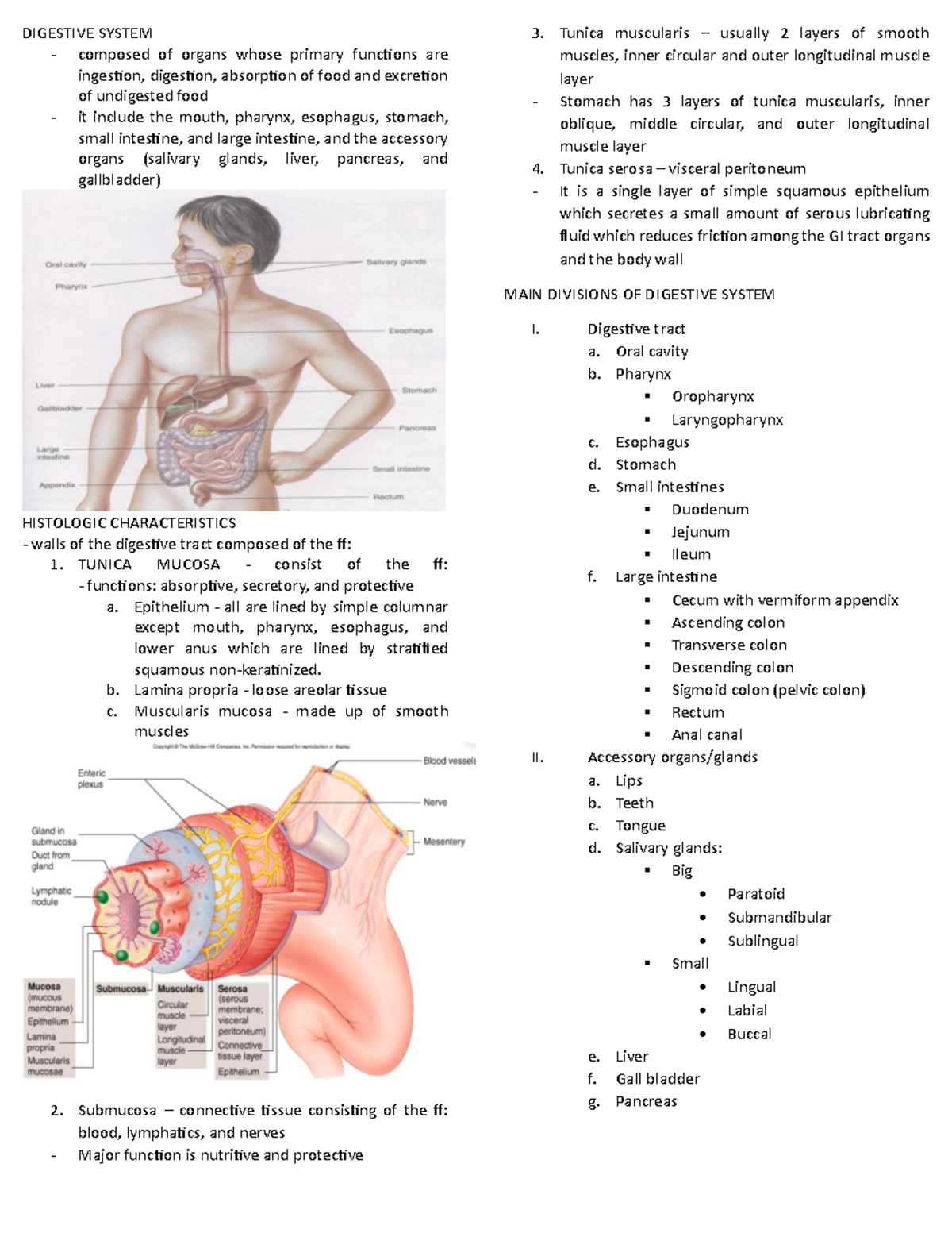 Anatomy Final Exam Reviewer: Digestive, Respiratory, and Urinary ...