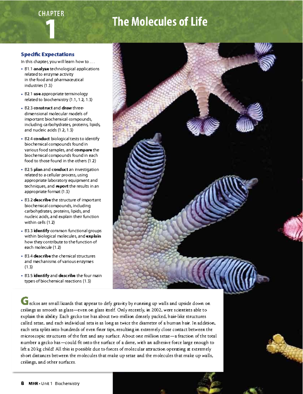 CHAPTER 1: The Molecules of Life - Biochemistry Overview and Key ...