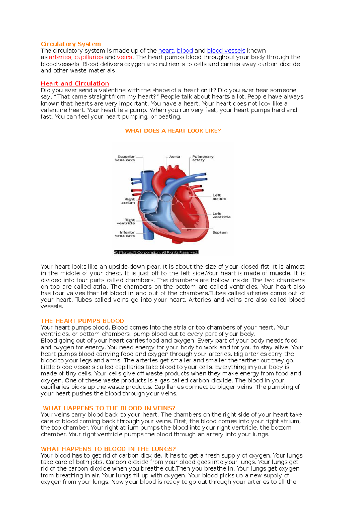 Circulatory System - Science. Anatomy. - Circulatory System The ...