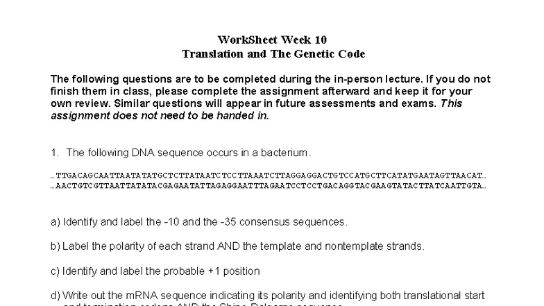Worksheet W10: Translation & Genetic Code Review - Studocu