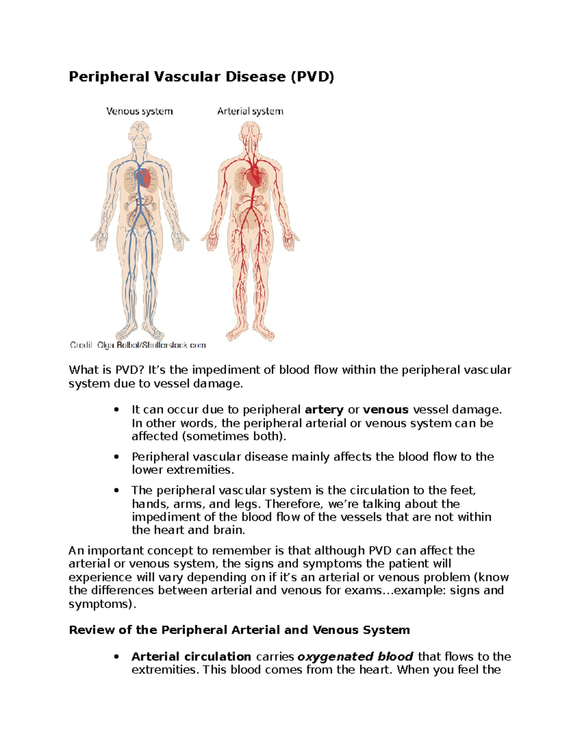 Peripheral Vascular Disease (PVD) - It can occur due to peripheral ...