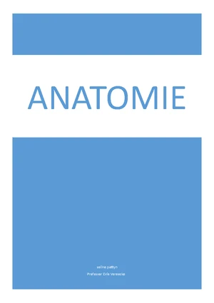 Anatomie Practicum 1 - De processus transversus heeft 3 uitsteeksels ...