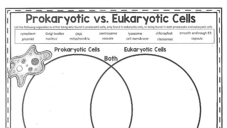 Prokaryotic vs. Eukaryotic Cells: Organelle Comparison Guide - Studocu