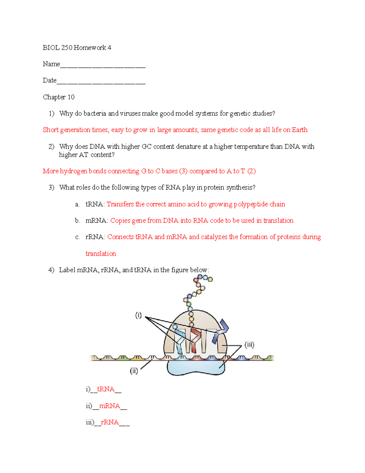 BIOL 250 Homework 4: Exploring Genetic Studies in Bacteria & Viruses ...