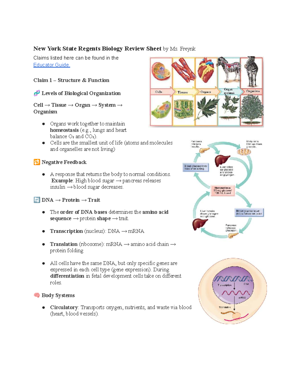 NY State Regents Biology Review Sheet - Key Concepts & Claims - Studocu