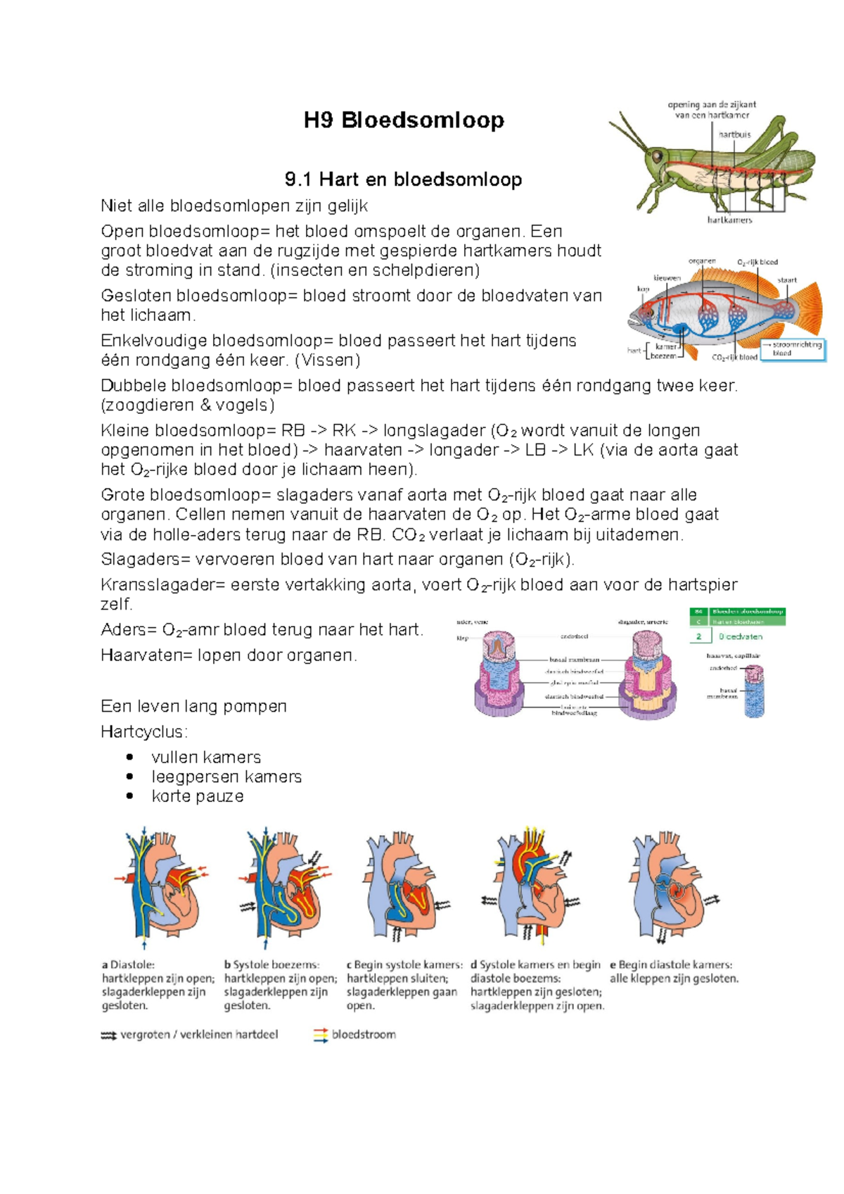H9 Bloedsomloop: Structuur en Functie van het Hart en Bloedvaten ...