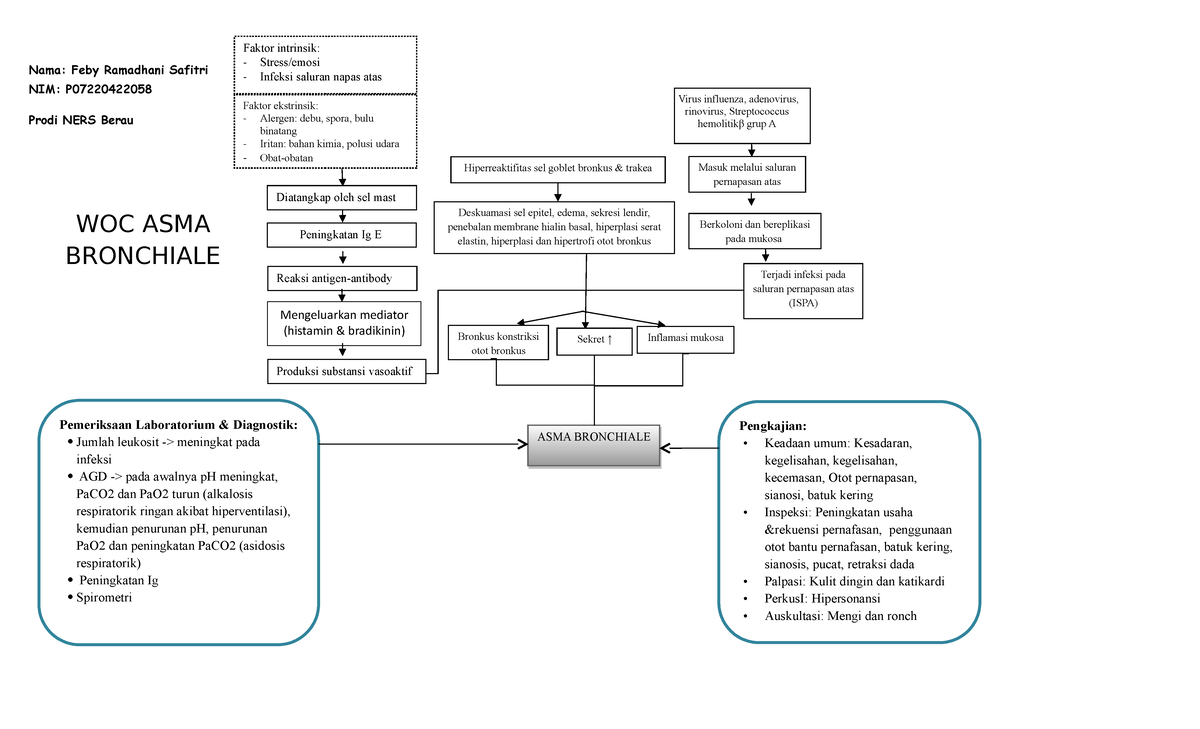 WOC Asma: Pengelolaan dan Diagnosis pada Kasus Asma Bronchiale - Studocu