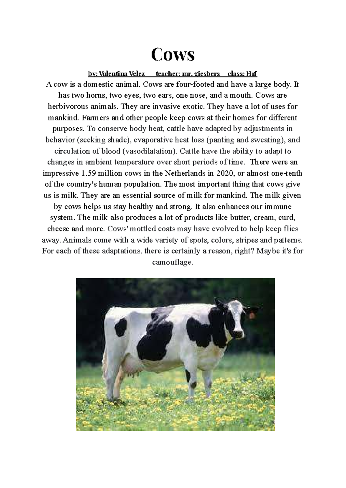 H1F Cows: Adaptations, Uses, and Importance in Agriculture - Studeersnel