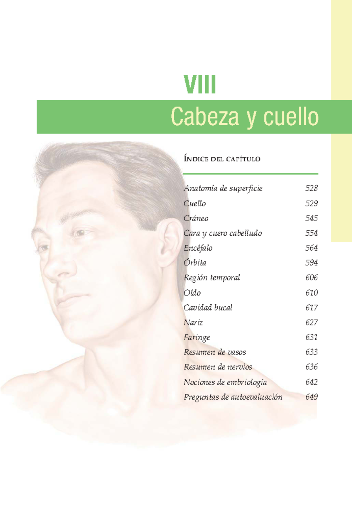 Anatomía Detallada de la Cabeza y Cuello: Estudio Netter - Capítulo ...