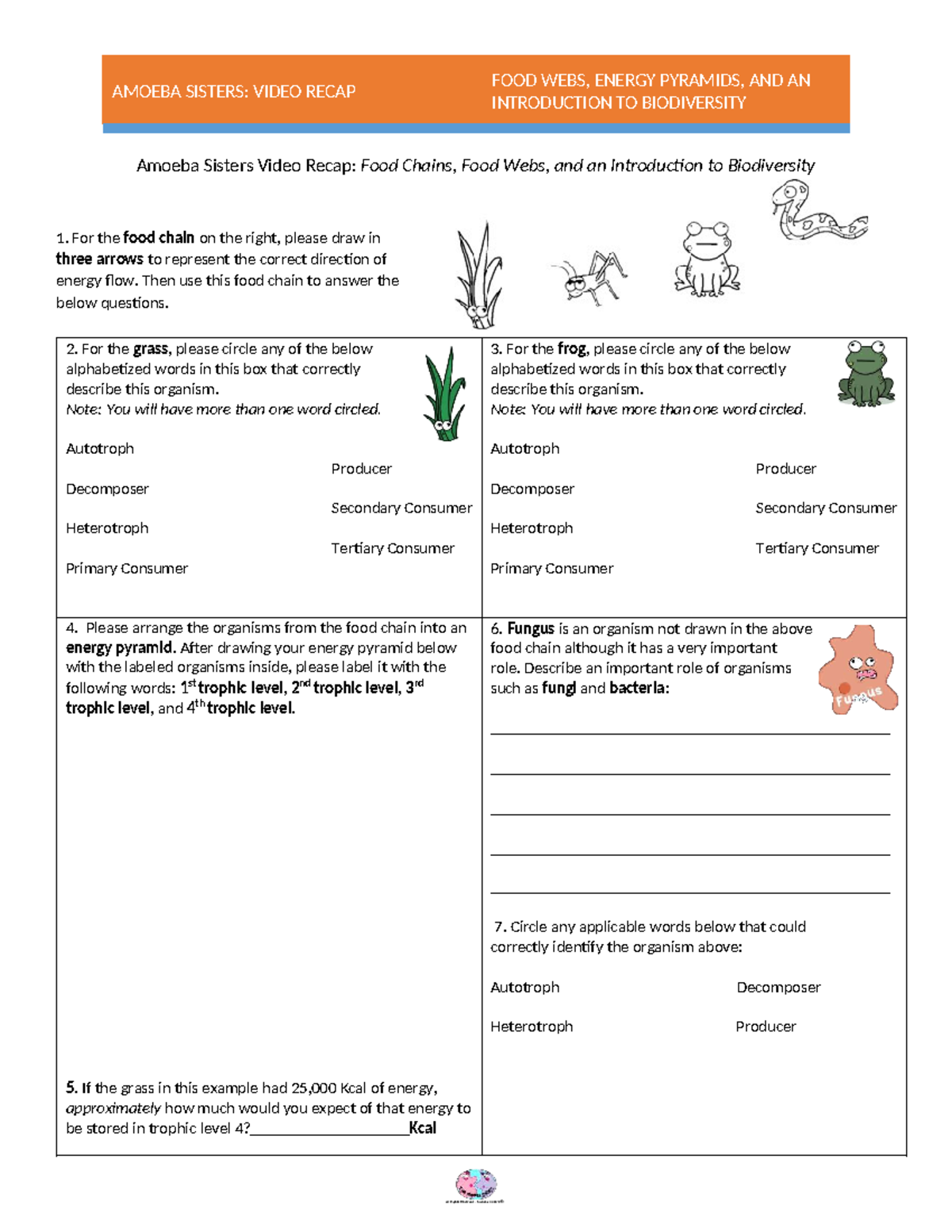AMOEBA SISTERS: VIDEO RECAP ON FOOD WEBS & BIODIVERSITY - Studocu