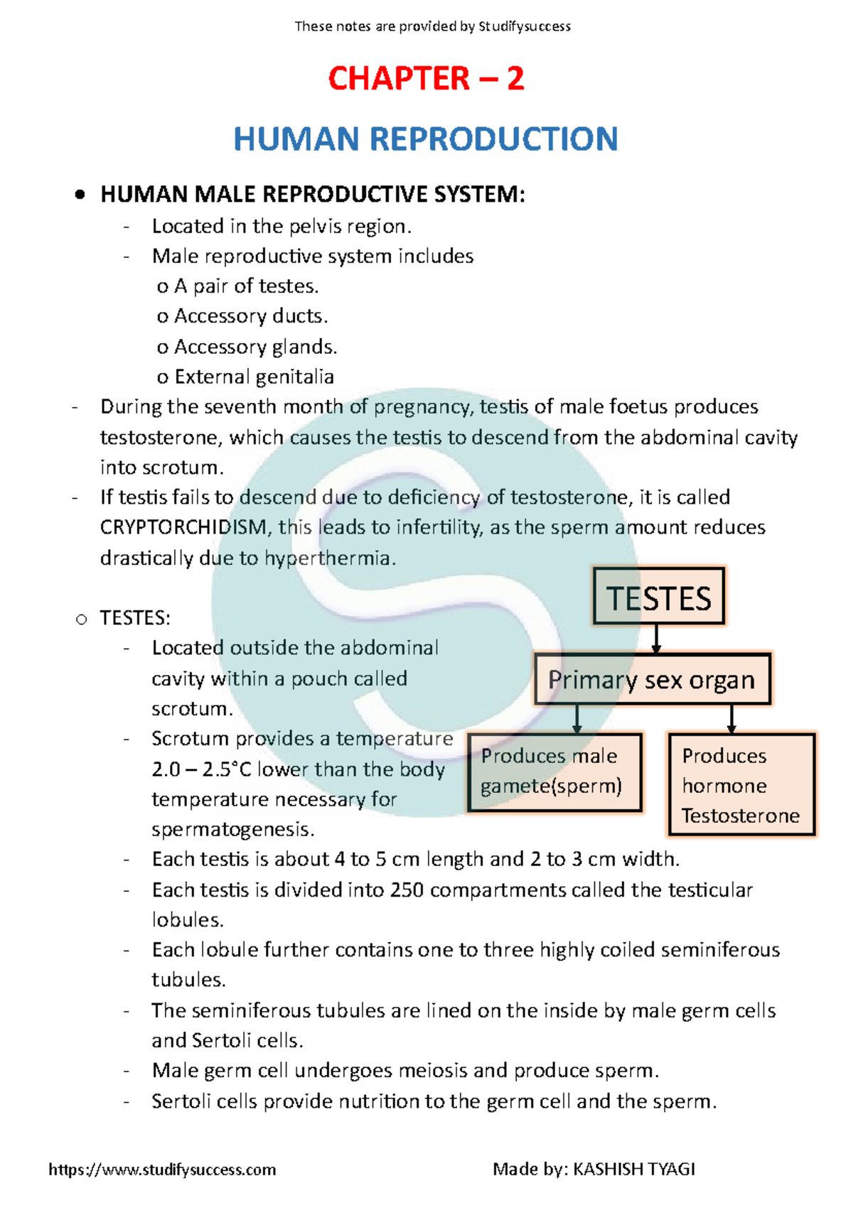 Class 12 Biology CH-2 Notes: Human Reproduction and Gametogenesis - Studocu