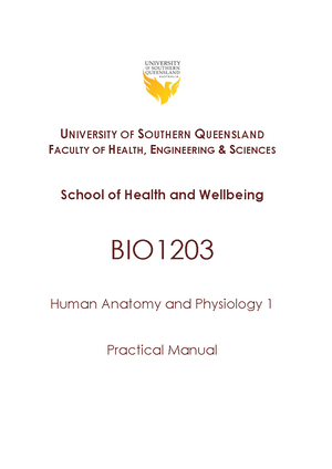 QAdds Chart - NUR1100 - Studocu