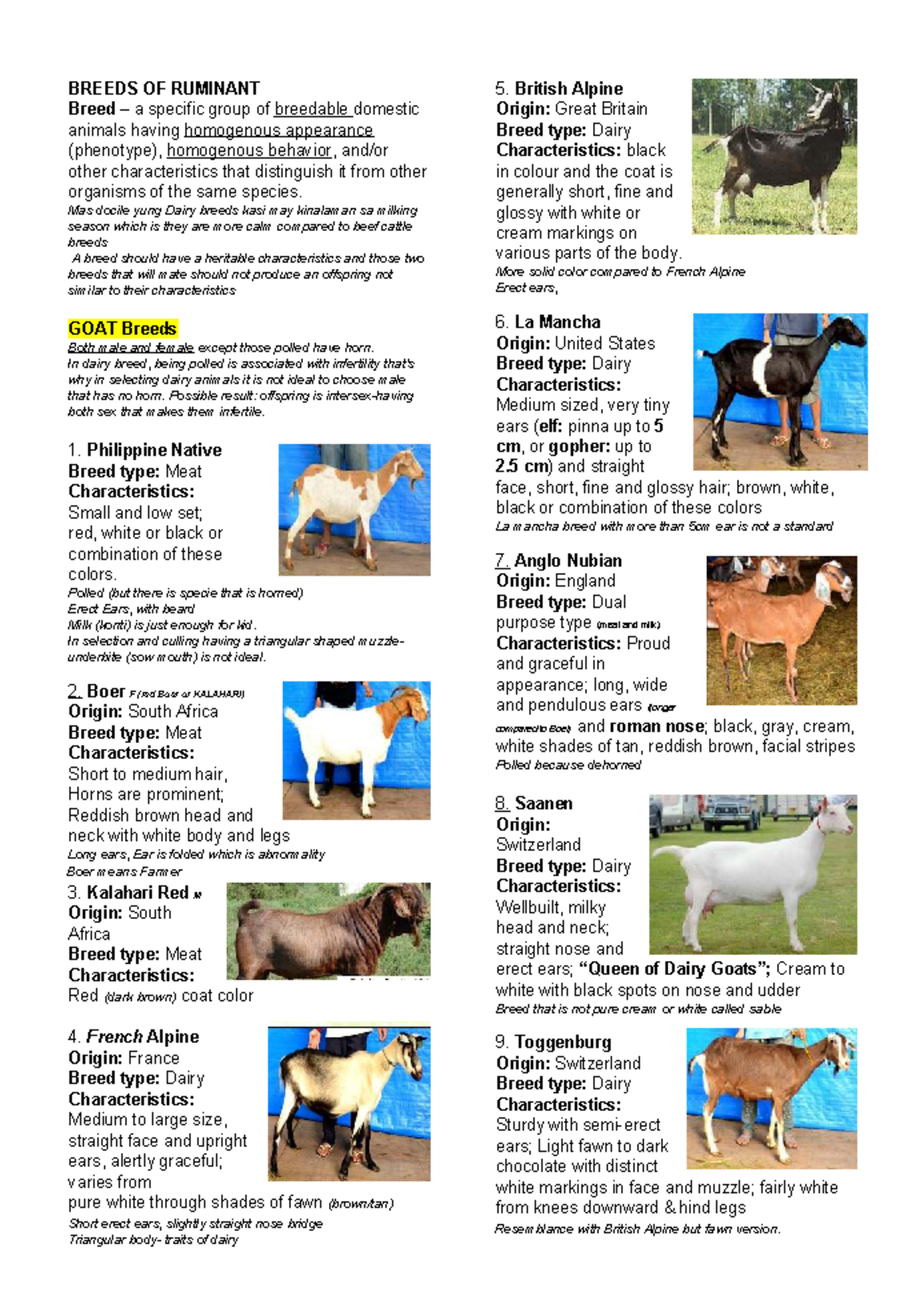 Breeds of Ruminants - Lecture Notes on Goat and Cattle Breeds - Studocu