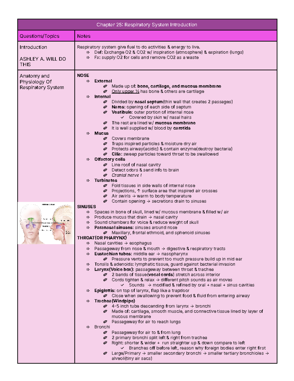 Quiz 18 Term 2 - notes from book - Chapter 25 Respiratory System ...