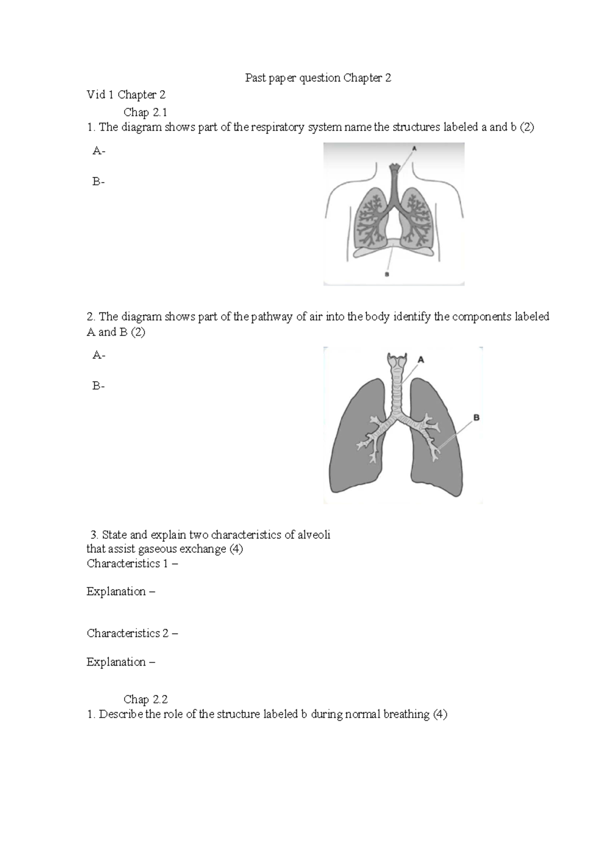 Past Paper Questions for Chapter 2: Respiratory System Insights - Studocu