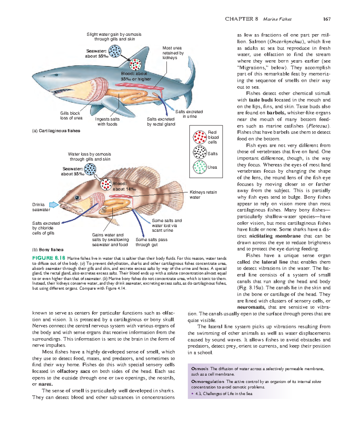 Marine biology part 12 - FIGURE 8 Marine fishes live in water that is ...