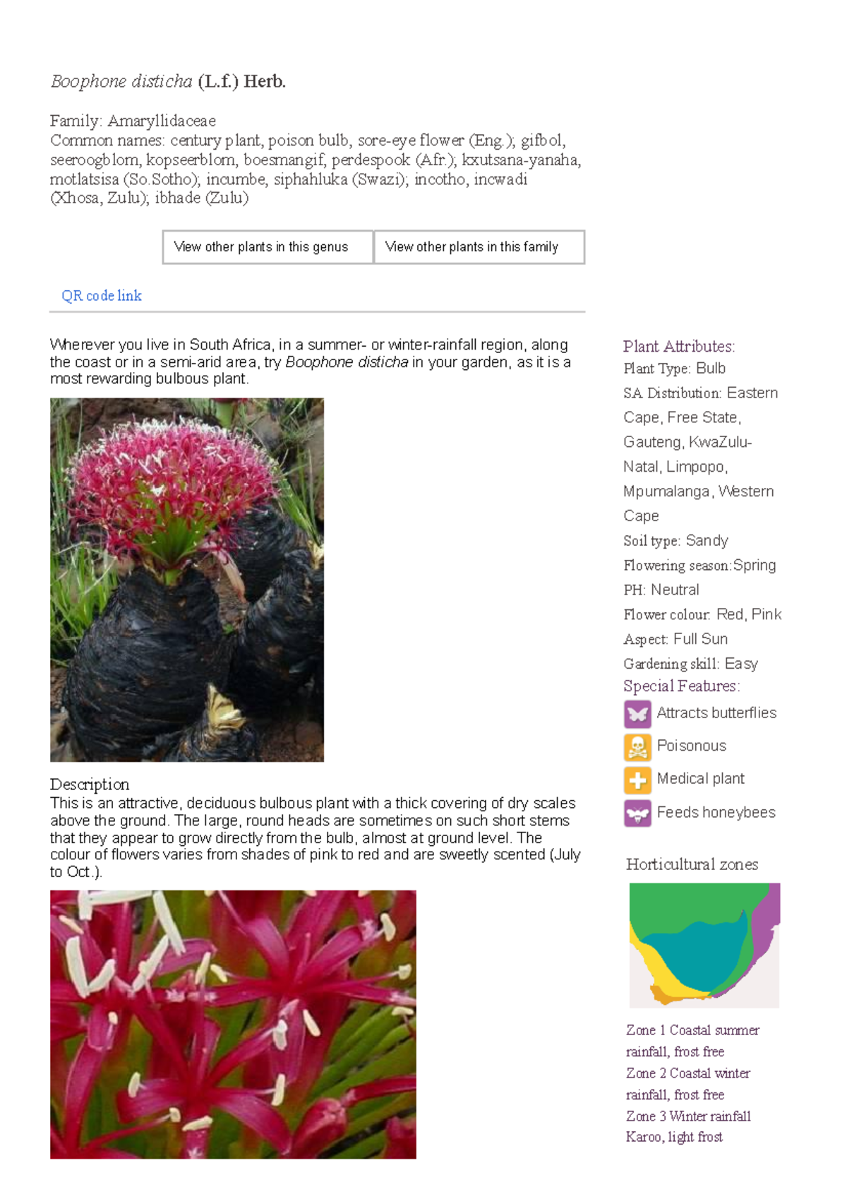 Boophone disticha: A Comprehensive Guide on Growing & Uses - Studocu