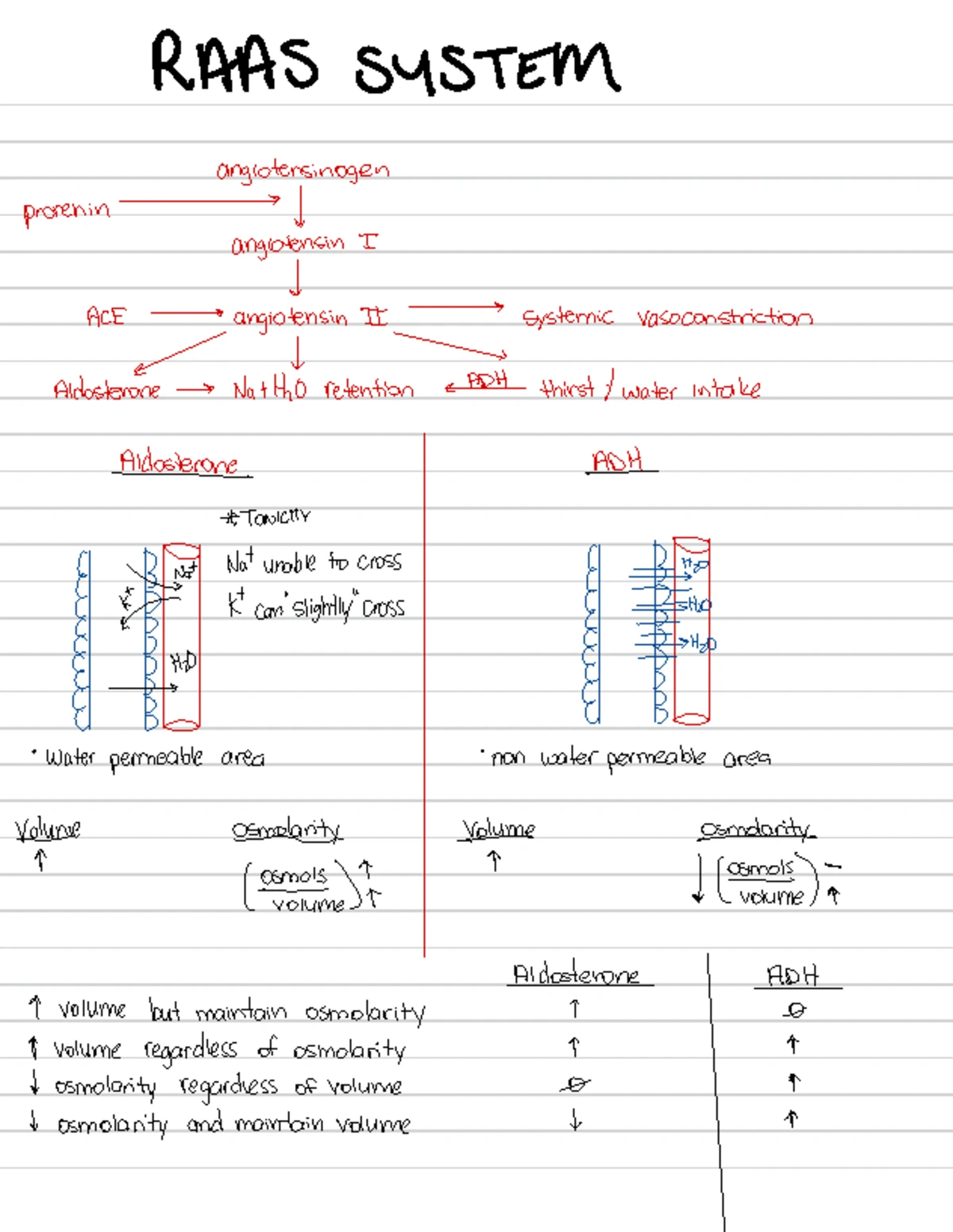 Med Surg Clinicals Cheat Sheet - Med Surg Guide Notes - Studocu