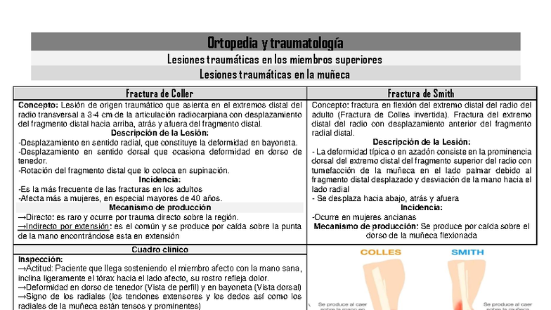 4-Lesiones Traumáticas en Miembros Superiores: Fracturas y Tratamientos ...