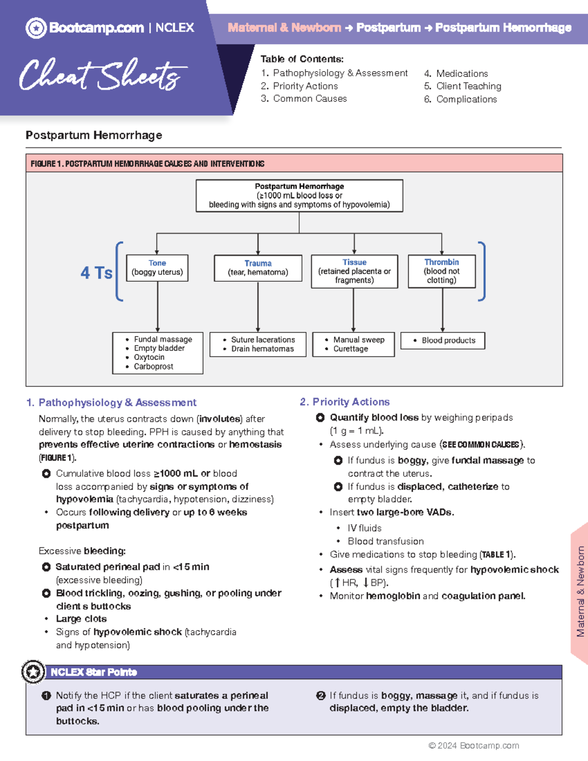 PPH Guidelines: Pathophysiology, Priority Actions, and Causes - Studocu