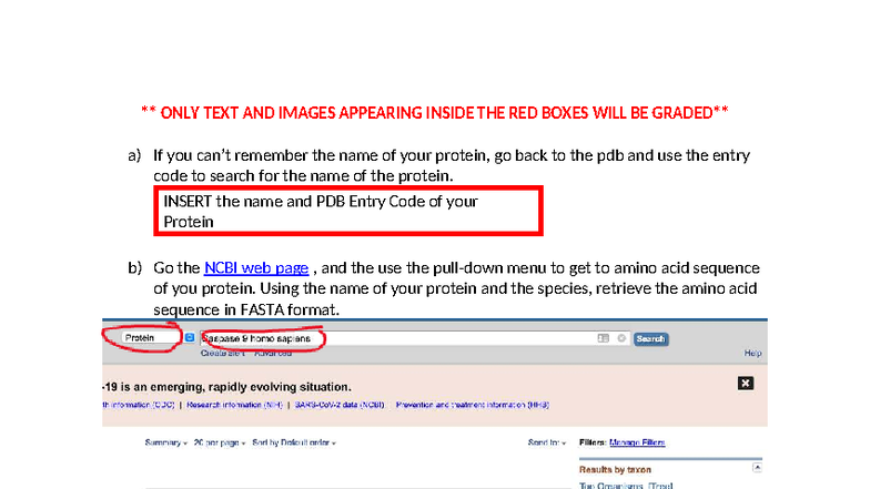 NCBI Assignment: Protein Sequence Retrieval and Analysis - Studocu
