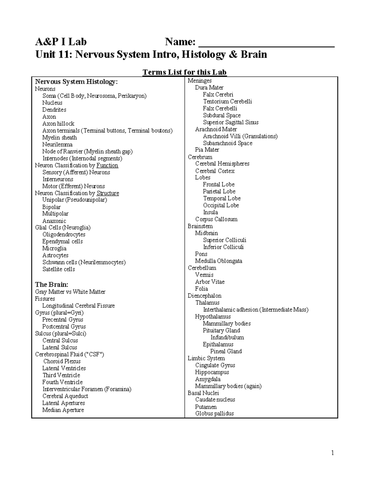2210L Unit 11 Nervous System Histology & Brain Functions Lab Guide ...