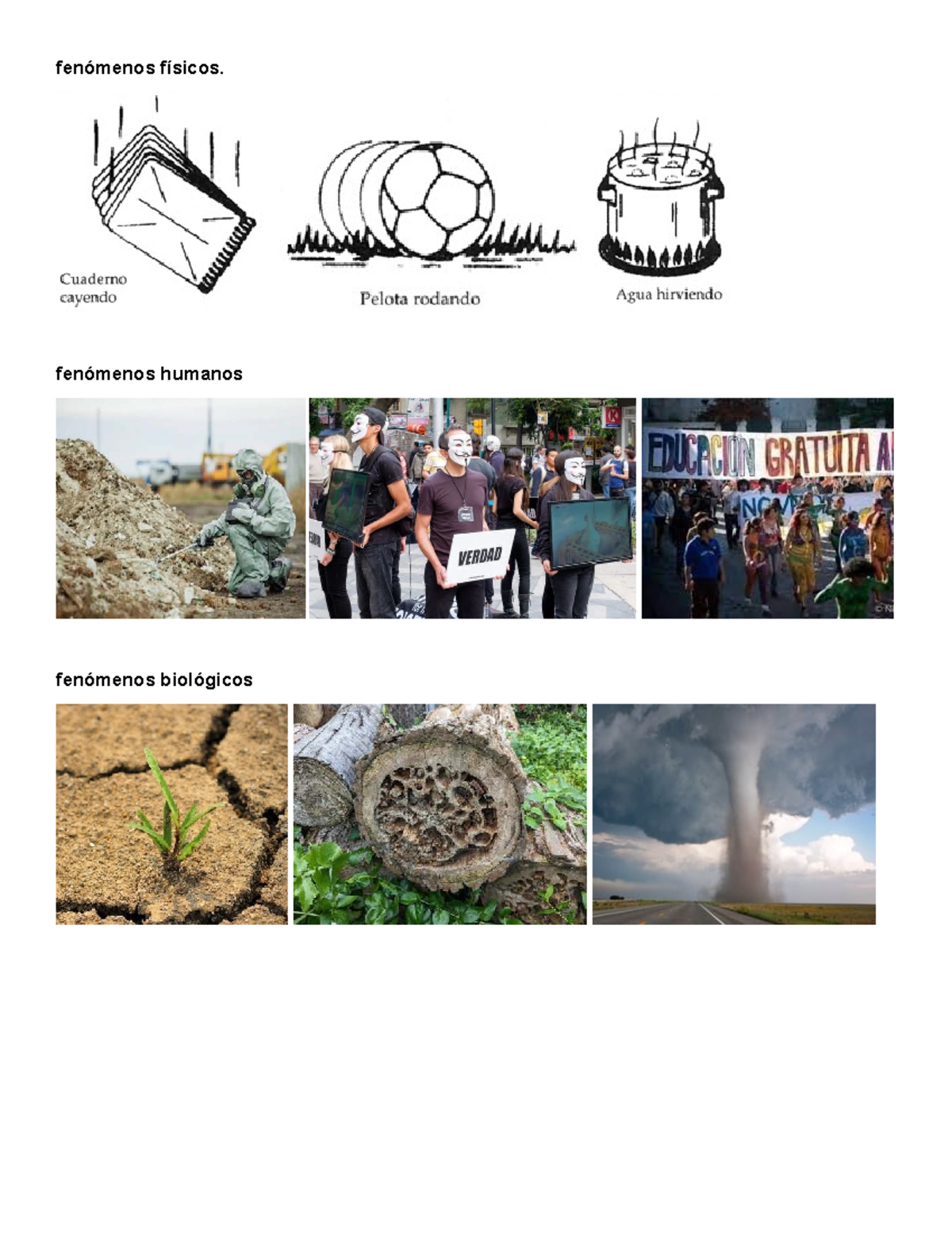 Fenómenos físicos - Ciencia Fisica - fenómenos humanos fenómenos ...