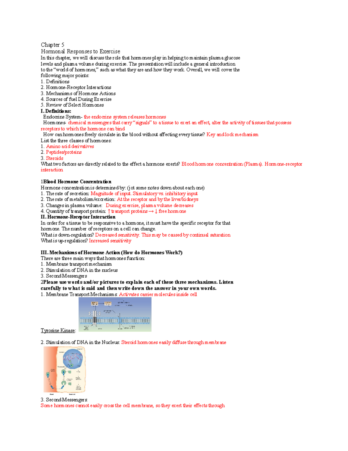 Hormonal Responses to Exercise - Chapter 5 Study Guide - Studocu