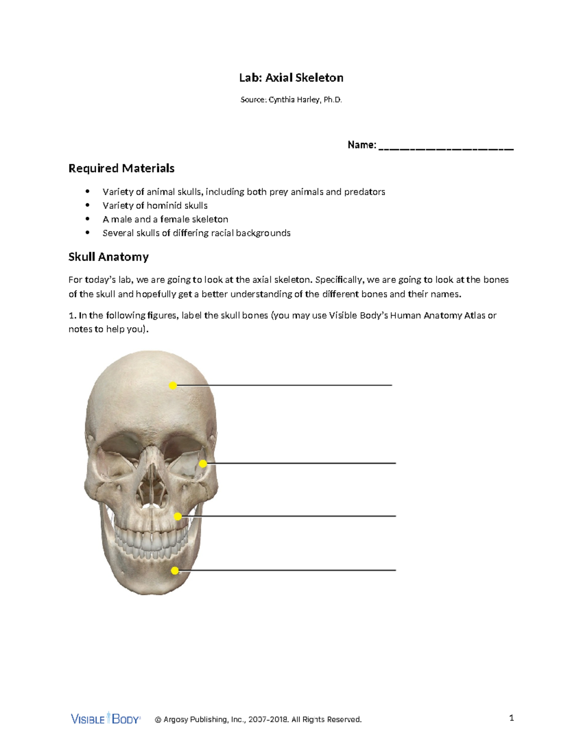 Ap worksheet axial skeleton - Lab: Axial Skeleton Source: Cynthia ...