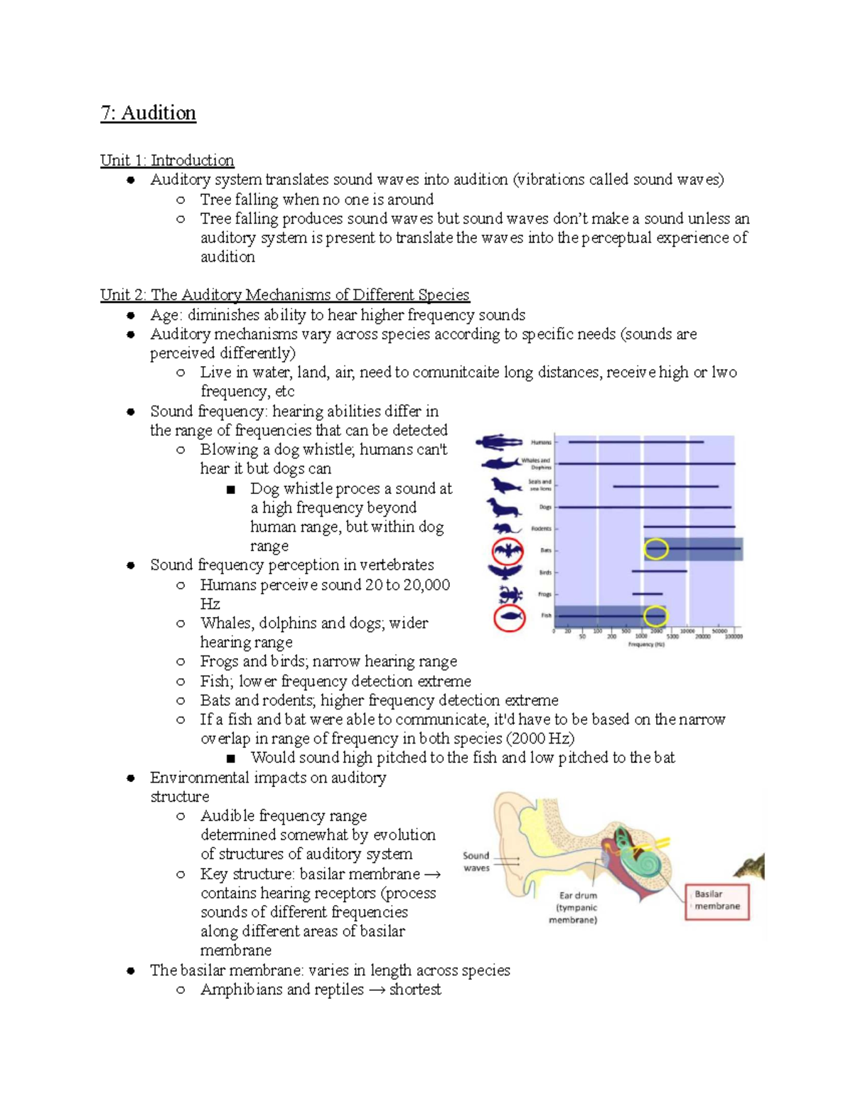 7: Audition Module: Understanding the Auditory System and Mechanisms - Studocu